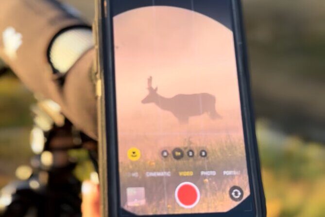 2 Day Yellowstone Safari Upper and Lower Loop Bozeman - A Complete Guide to the 2-Day Yellowstone Safari from Bozeman