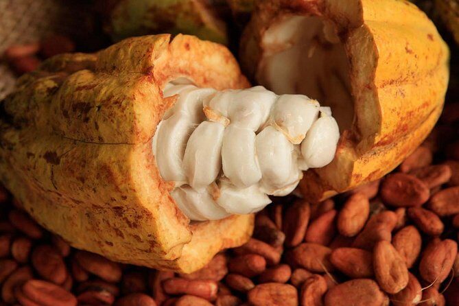 2 days Mayan world Ruins: Chichen Itza, Tulum, Coba, Cenotes - Frequently Asked Questions