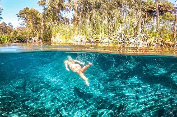 2 Days Private Guided Tour from Darwin to Alice - Exploring the 2-Day Private Guided Tour from Darwin to Alice Springs