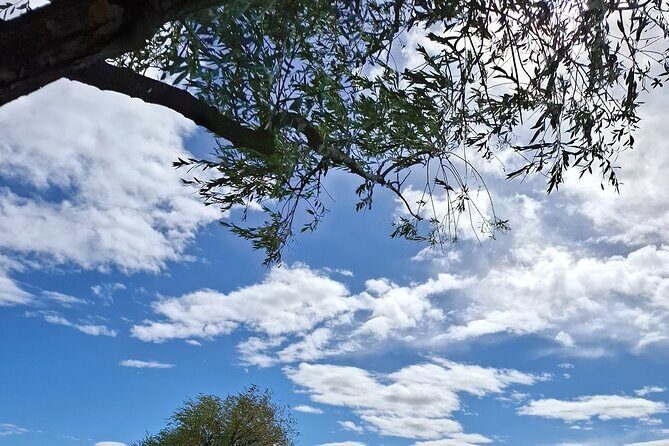 2 Days Queenstown Wanaka Private Tours from Dunedin - Exploring the 2 Days Queenstown Wanaka Private Tours from Dunedin