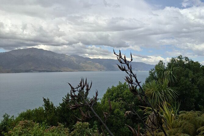2 Days Queenstown Wanaka Private Tours from Dunedin - Final Thoughts on the Value