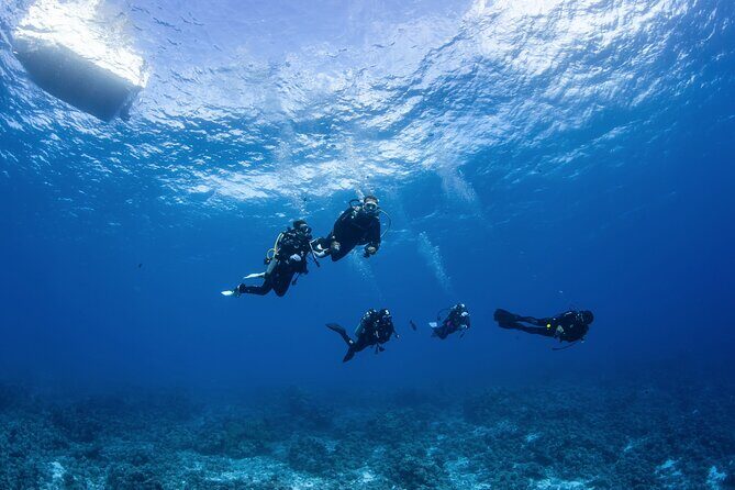 2 Dives in the morning for certified divers in Bora Bora - FAQ