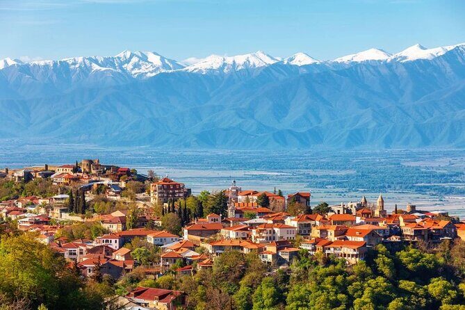 2 Full Day Private Tours from Tbilisi - Who Should Consider This Tour?