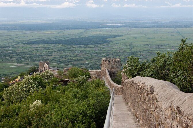 2 Full Day Private Tours from Tbilisi - Final Thoughts