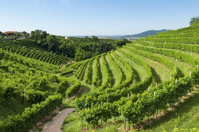 2 Guests Private Prosecco Road Tour All Inclusive from Conegliano - Duration and Timing