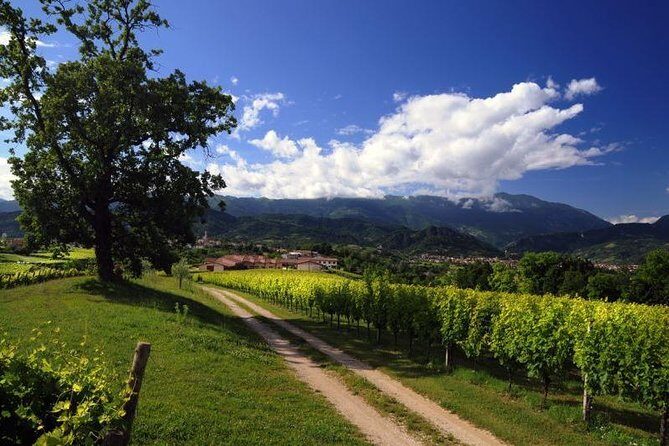 2 Guests Private Prosecco Road Tour All Inclusive from Conegliano - Price and Value