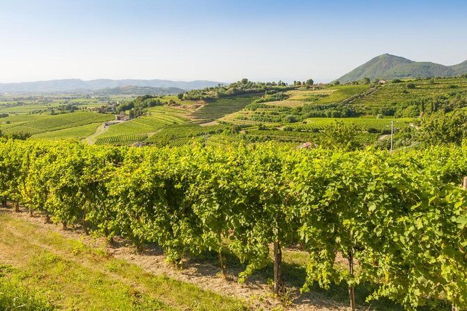 2 Guests Private Prosecco Road Tour All Inclusive from Conegliano - What Travelers Love