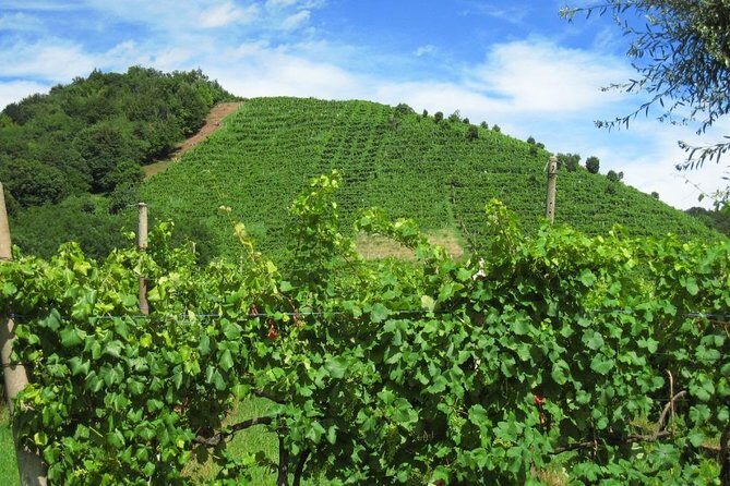 2 Guests Private Prosecco Road Tour All Inclusive from Conegliano - FAQ