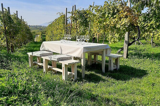 2 Guests Private Prosecco Road Tour All Inclusive from Venice - Exploring the Itinerary: What Truly Makes This Tour Special