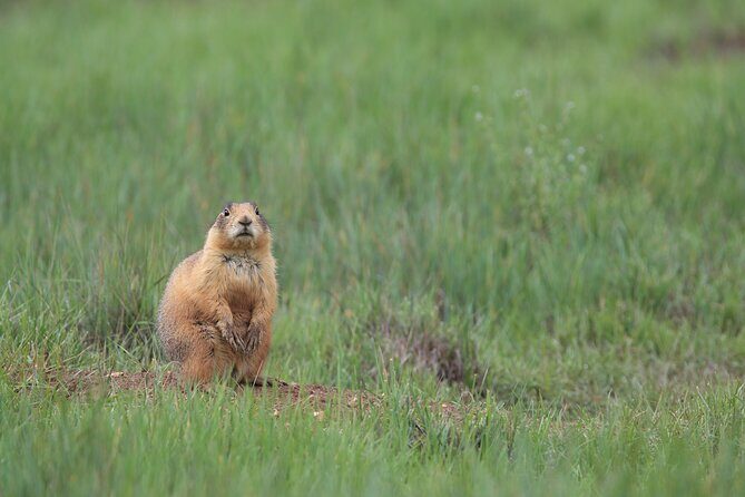 2-Hour, 4-seat ATV Rental next to Bryce National Park - An In-Depth Look at the Experience