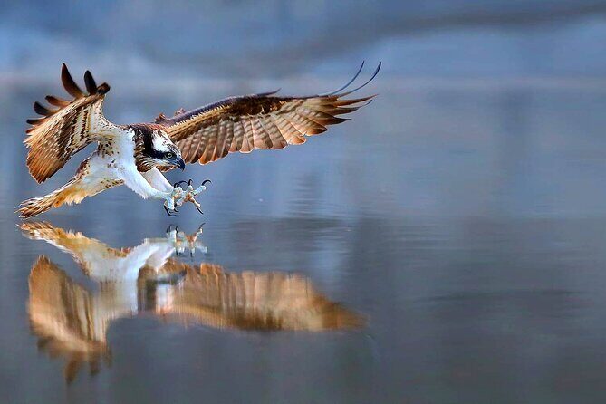 2-Hour, 4-seat ATV Rental next to Bryce National Park - Final Thoughts