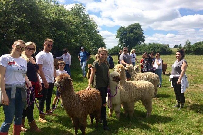 2-Hour Alpaca Farm Experience in Kenilworth - FAQs