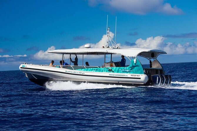 2 Hour Big Island Dolphin Watching and Sea Turtle Snorkel Tour - Exploring the 2 Hour Big Island Dolphin Watching and Sea Turtle Snorkel Tour