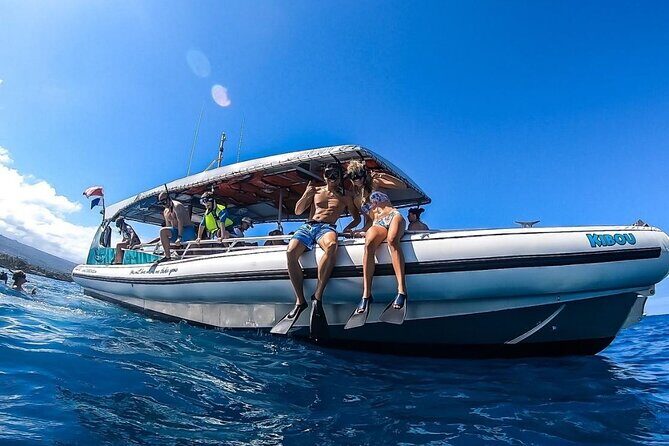 2 Hour Big Island Dolphin Watching and Sea Turtle Snorkel Tour - FAQs