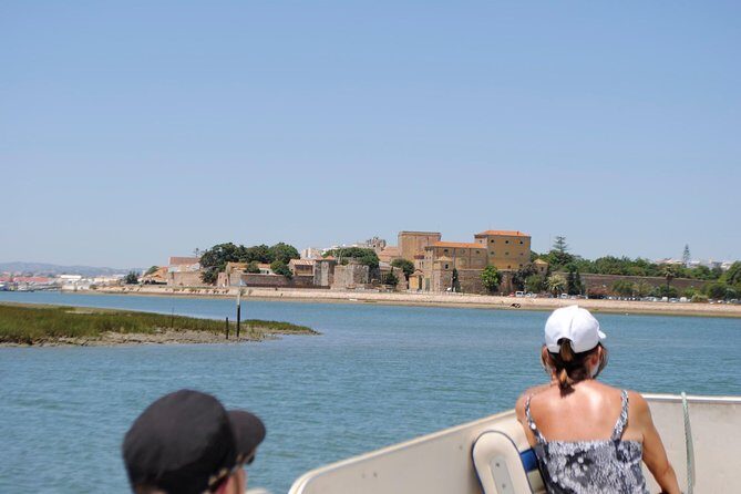 2-hour Bird Watching Guided Boat Trip in Ria Formosa from Faro Algarve - An In-Depth Look at the Experience