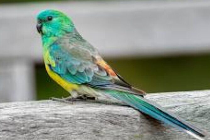 2-Hour Botanic Garden Tour in Akoursos - Who Is This Tour Best For?