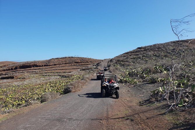 2-hour Buggy Tour from Costa Teguise - Who Should Consider This Tour?
