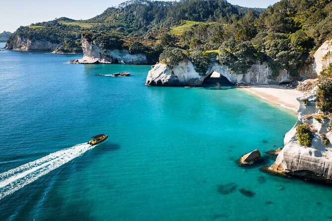 2 Hour Cathedral Cove and Volcanic Coast Cruise with Shade Canopy - Key Points
