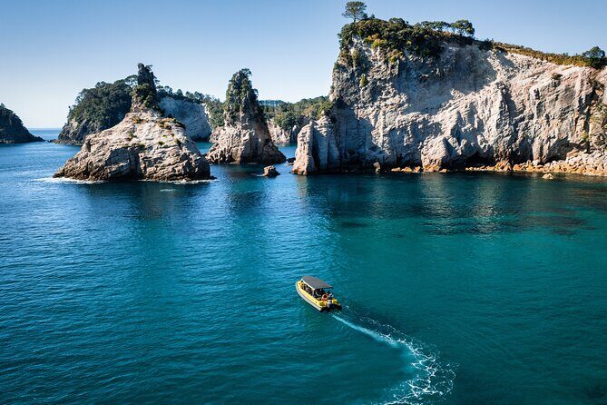 2 Hour Cathedral Cove and Volcanic Coast Cruise with Shade Canopy - Practicalities and Tips for Travelers