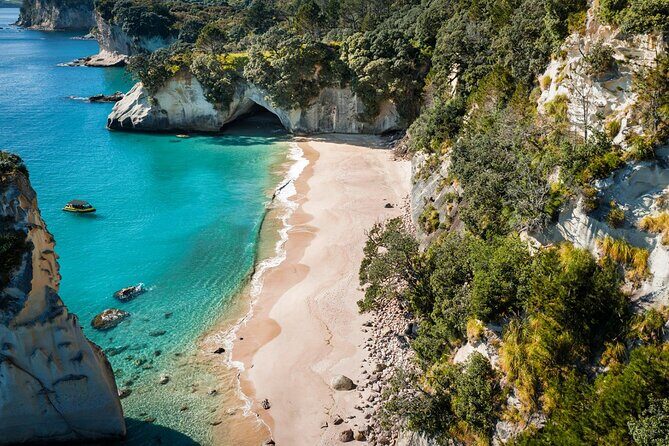 2 Hour Cathedral Cove and Volcanic Coast Cruise with Shade Canopy - Who Is This Tour For?
