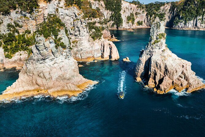2 Hour Cathedral Cove and Volcanic Coast Cruise with Shade Canopy - The Sum Up