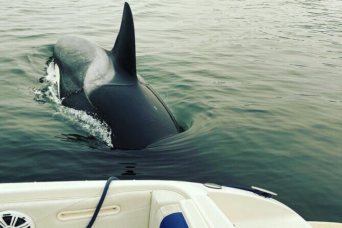 2 Hour Chartered Boat Tour from Deep Cove North Vancouver - FAQs