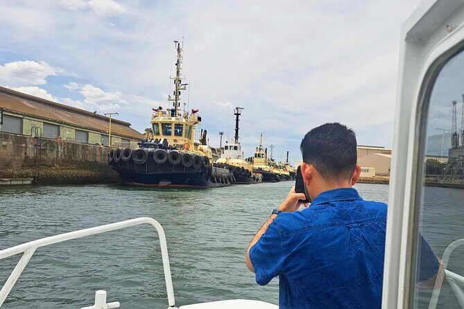 2-Hour Dolphin and Maritime Cruise in Port Adelaide - Who Should Consider This Tour?