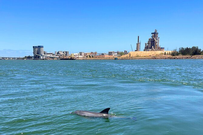 2-Hour Dolphin and Maritime Cruise in Port Adelaide - The Sum Up