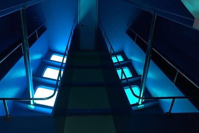 2-Hour Dolphin and Whale Watching in Gran Canaria - FAQ