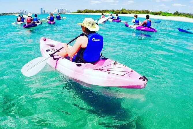 2-Hour Dolphin Kayak & Snorkel Tour on the Broadwater - Practical Details