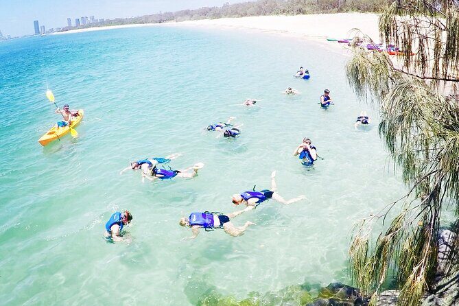 2-Hour Dolphin Kayak & Snorkel Tour on the Broadwater - FAQ