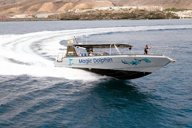 2-Hour Dolphin Watching Experience in Fuerteventura - Frequently Asked Questions