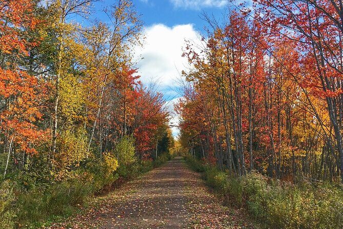 2 Hour E-Bike Tour of Charlottetown - Quick Intro