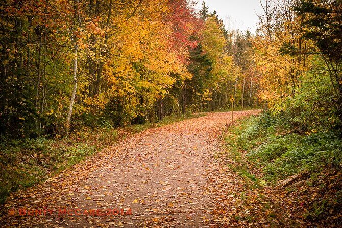 2 Hour E-Bike Tour of Charlottetown - The Value of the Tour