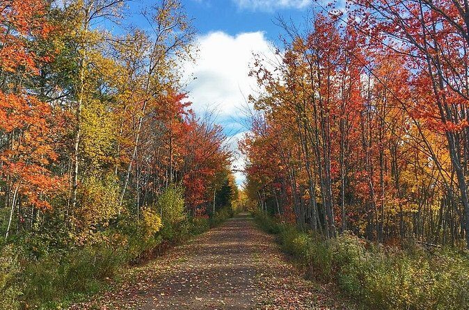 2 Hour E-Bike Tour of Charlottetown - The Sum Up
