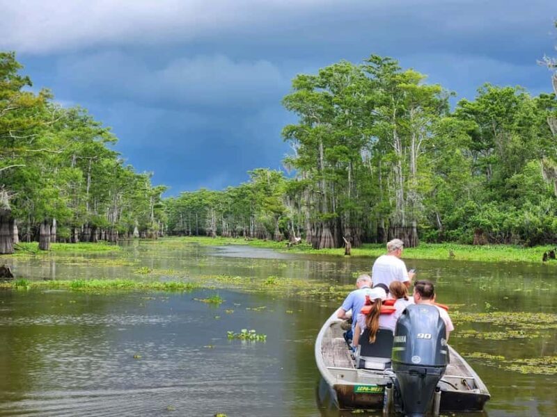 2-hour Eco-Swamp Tour - Who Will Love This Tour?