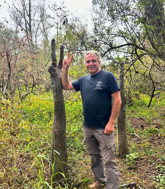 2-hour Eco-Swamp Tour - The Sum Up