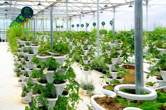 2-Hour Farm Experience in Gateway Yarra Valley - What You Can Expect from This Experience