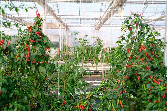 2-Hour Farm Experience in Gateway Yarra Valley - The Itinerary Breakdown