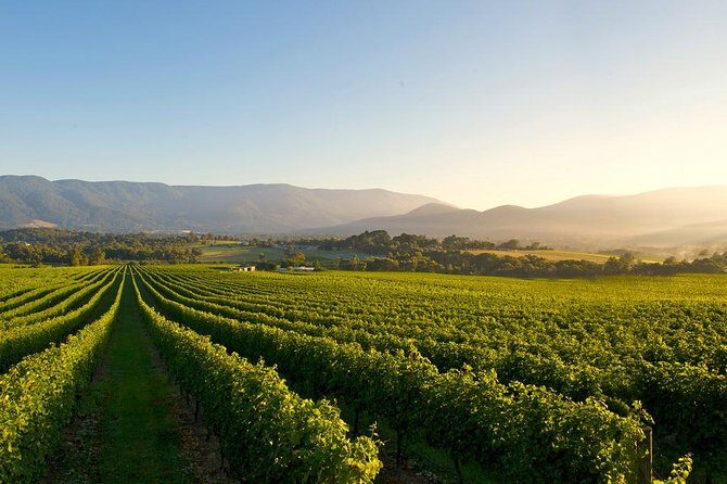 2-Hour Farm Experience in Gateway Yarra Valley - Who Would Love This Tour?