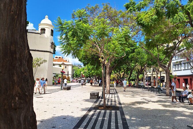 2-Hour Funchal City & Madeira Wine Experience - The Sum Up