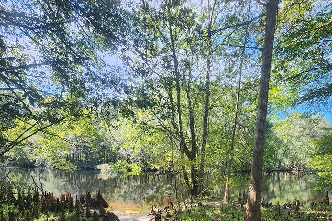 2 Hour Guided Clear Glass Bottom Kayak Tour Gilchrist Blue Spring - Exploring the Itinerary: What to Expect