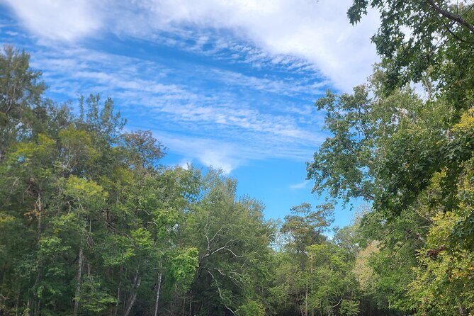 2 Hour Guided Clear Glass Bottom Kayak Tour Gilchrist Blue Spring - The Sum Up