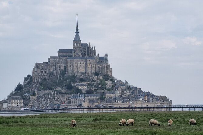 2 hour guided tour of Mont Saint Michel, abbey ticket included - A Detailed Look at the Tour Experience