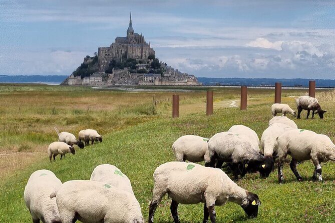 2 hour guided tour of Mont Saint Michel, abbey ticket included - The Sum Up
