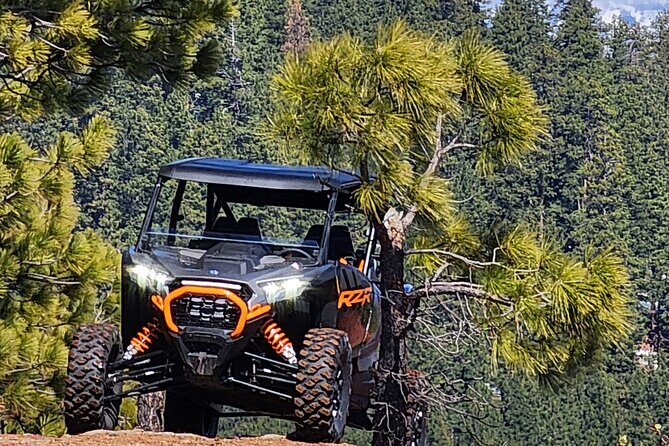 2 Hour High Cascades Scenic ATV Tour in Bend Oregon - An In-Depth Look at the Scenic ATV Adventure