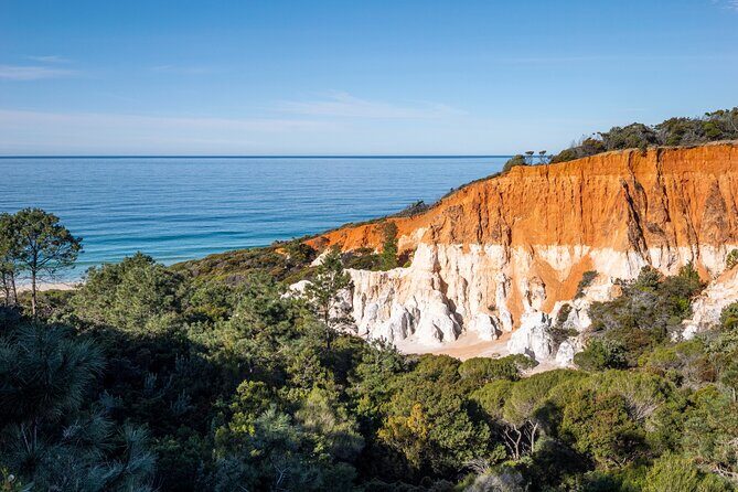 2 Hour Highlights of Eden Tour - Who Is This Tour Best Suited For?