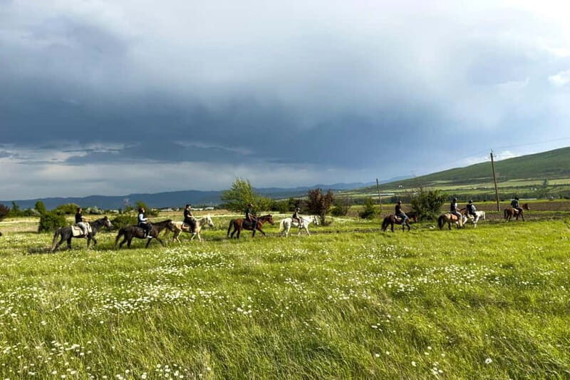 2-hour horse riding tour at Palomino Ranch Near Tbilisi - An Authentic Ride Through Georgia’s Countryside