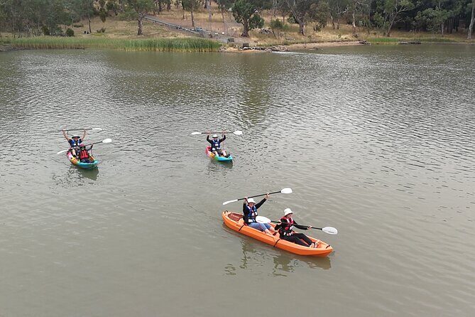 2-Hour Kayaking Experience in Barossa Valley - Key Points