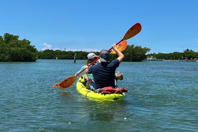 2 Hour Key West Kayak Rental Discover Mangroves & Wildlife! - Wildlife Encounters and Nature